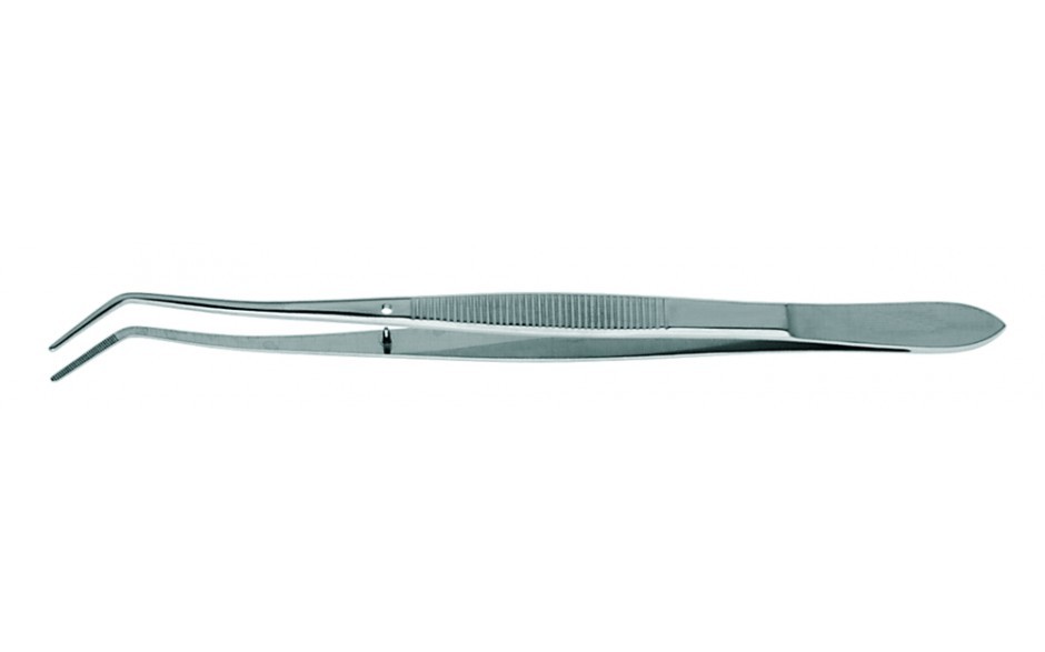 Penseta M+W Dental - Alege Din Oferta DoriotDent